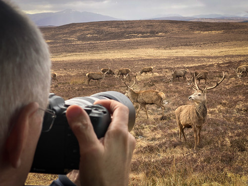 Annual Membership | Wild Arena Ltd