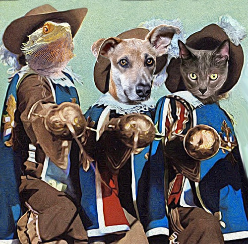 The Three Muskateers | The Renaissance Pet