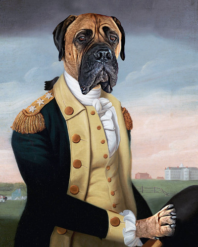 George Washington | The Renaissance Pet