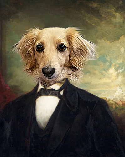 Abraham Lincoln | The Renaissance Pet
