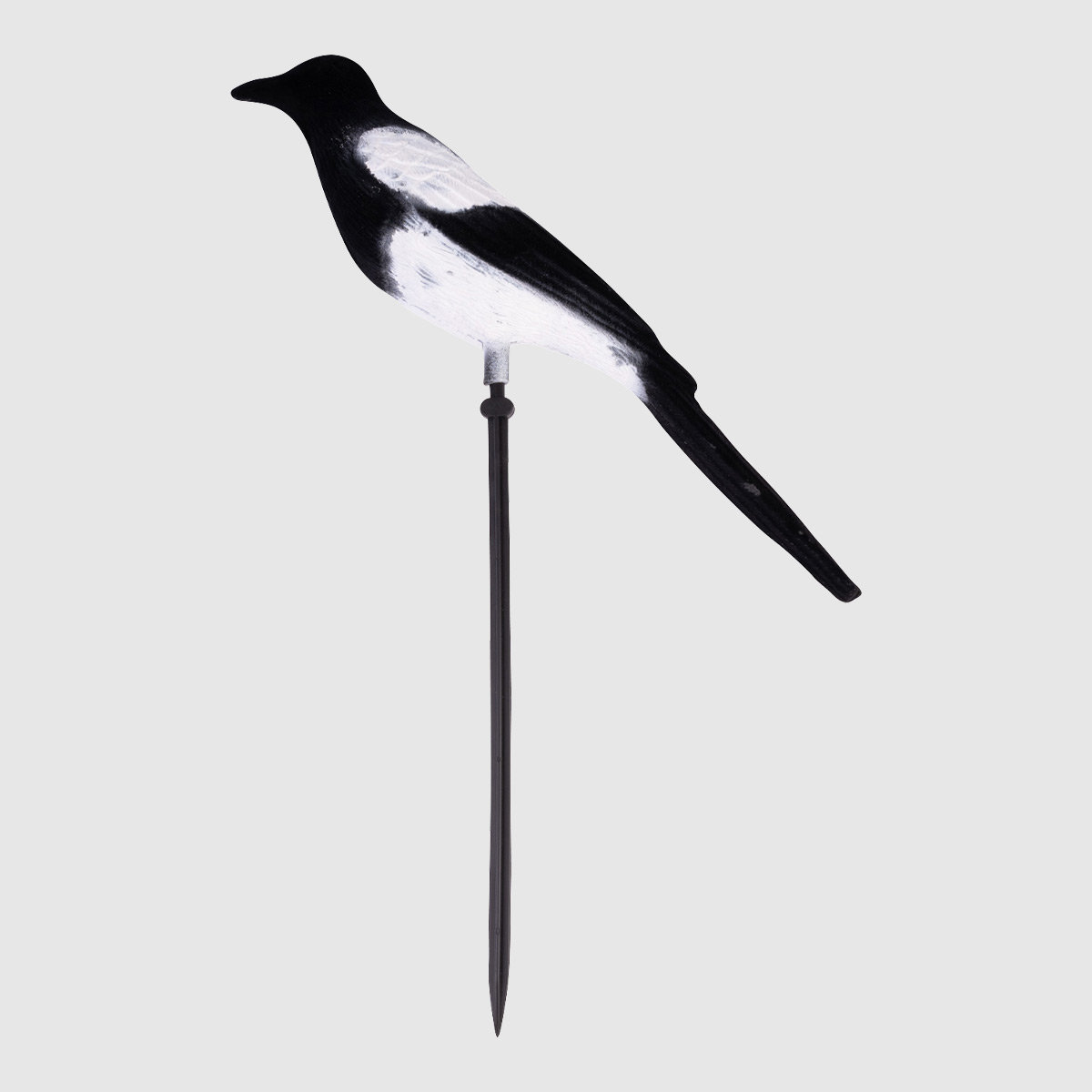 Full Body Magpie