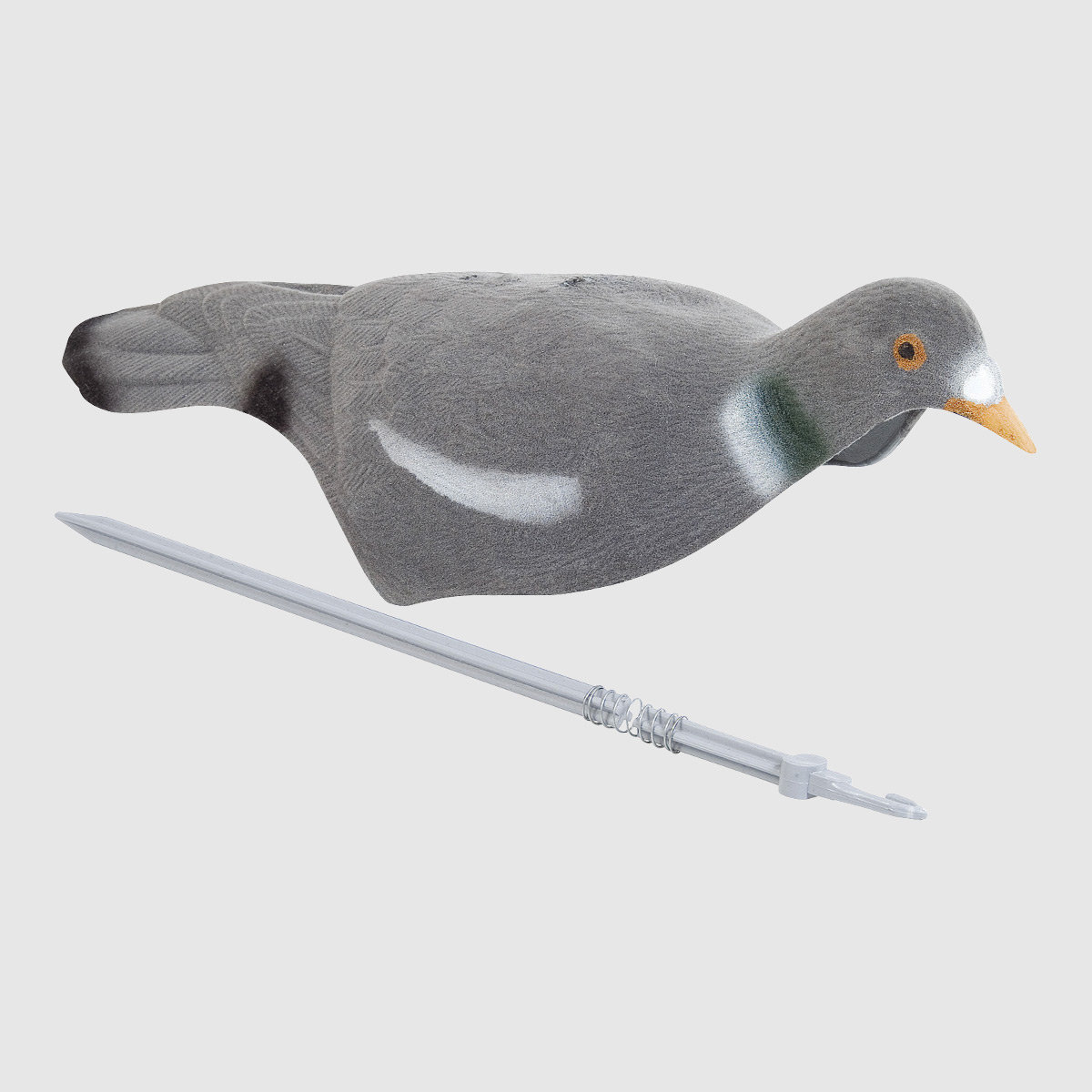 Flocked Shell Pigeon