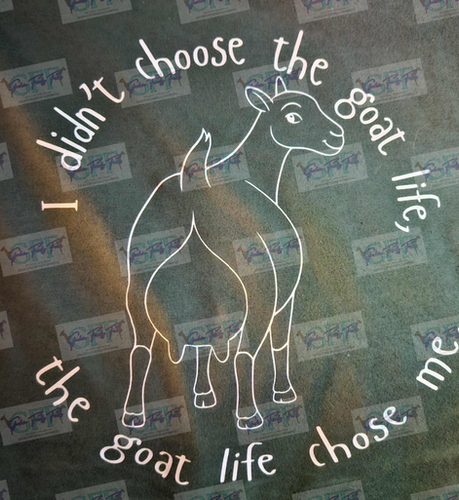 The goat life chose me | Goodwin Family Farms