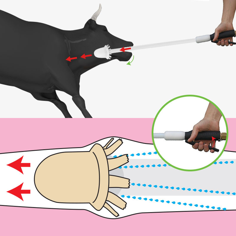 Bovine Ingesta Plugging | Adept Contamination Control Systems | New Zealand