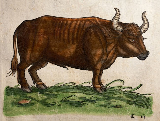CHAPTER 3: KNOW PLACE - SKETCHING PLANET YAK'S MYTH'ING LINKS
