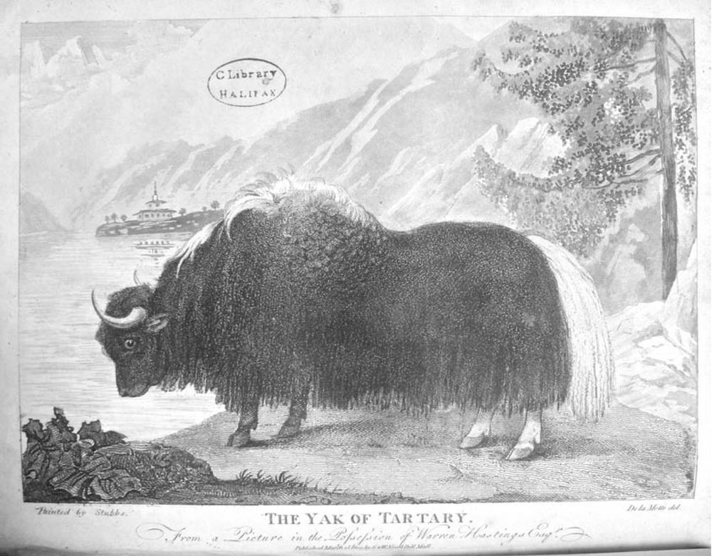 CHAPTER 3: KNOW PLACE - SKETCHING PLANET YAK'S MYTH'ING LINKS