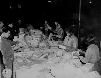 6888th Photos & Videos / USA / Women of the 6888th