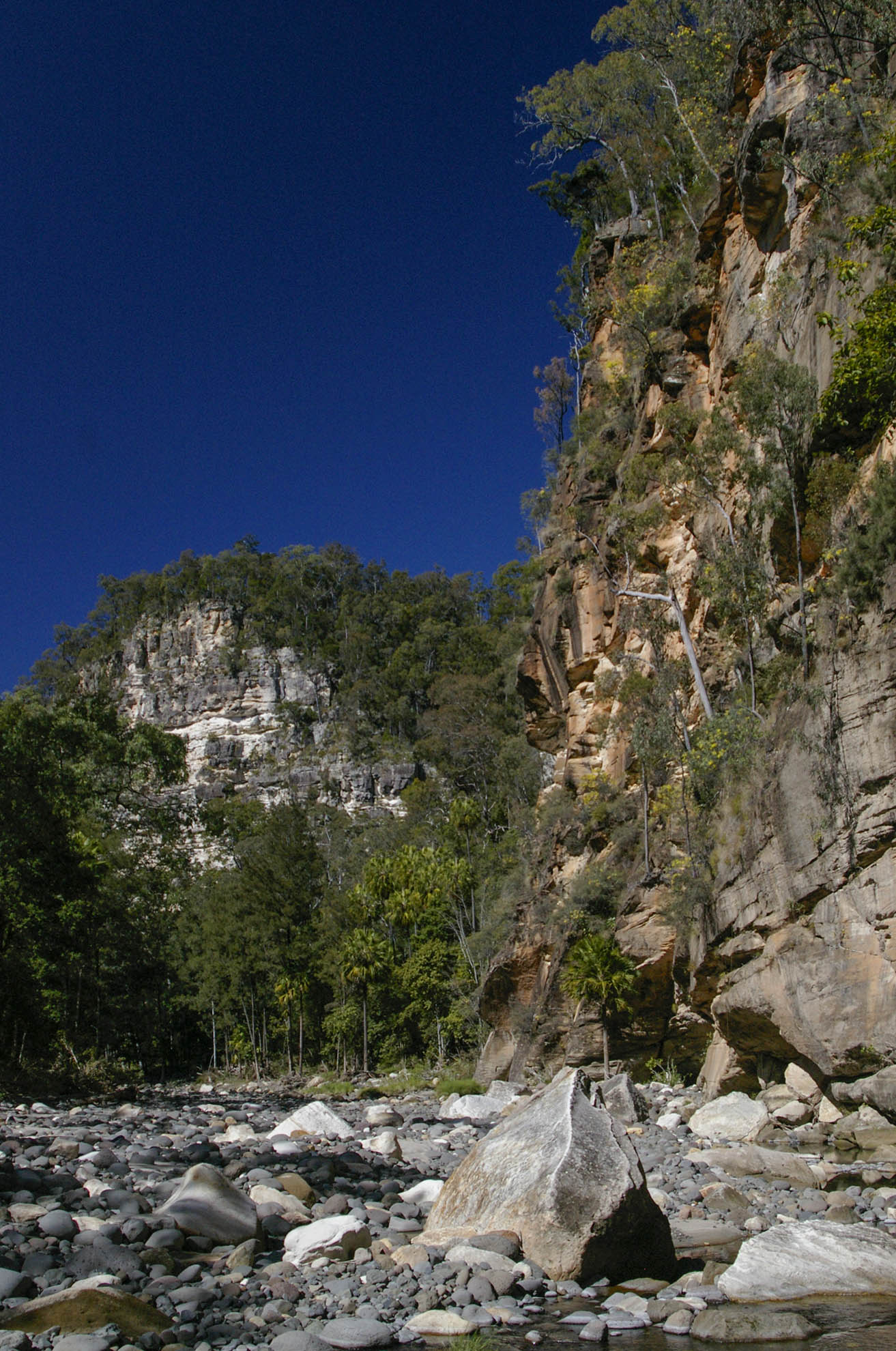 Carnarvon Gorge | Upper Gorge | Australian Nature Guides