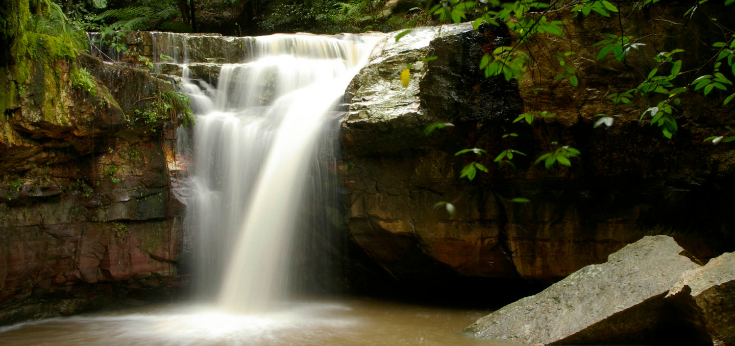 Carnarvon Gorge | Park Guide, Tours, Activities, Accommodation.