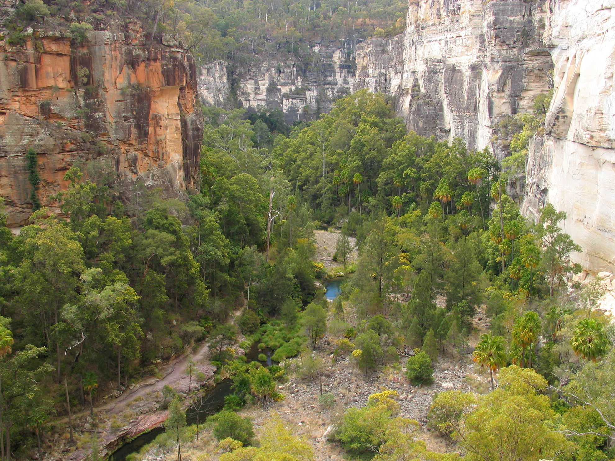 Carnarvon Gorge | Upper Gorge | Australian Nature Guides