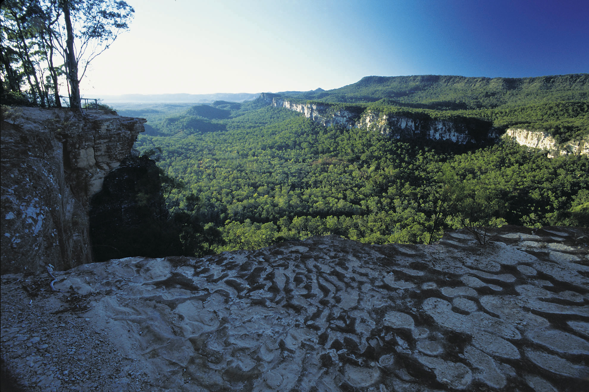Carnarvon Gorge | Gorge Mouth | Australian Nature Guides