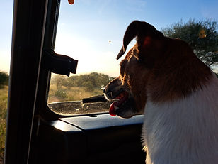 Facilities | Bush 'n Buck Private Game Farm