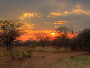 Facilities | Bush 'n Buck Private Game Farm