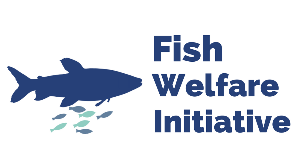 Introducing Fish Welfare Initiative