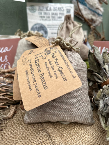 Alpaca Beans | Oak Tree Alpacas