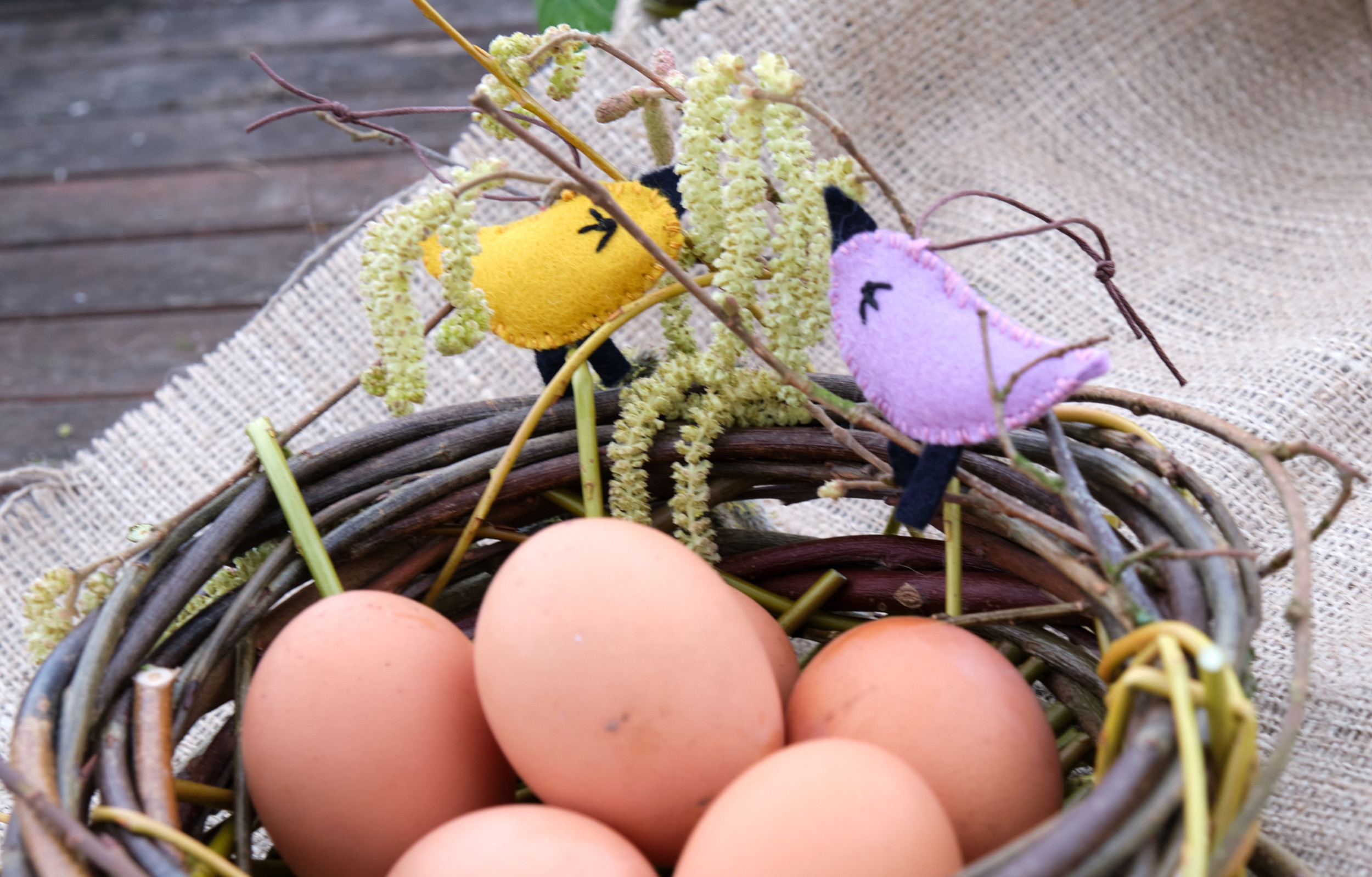 Easter 2022 | Oak Tree Alpacas