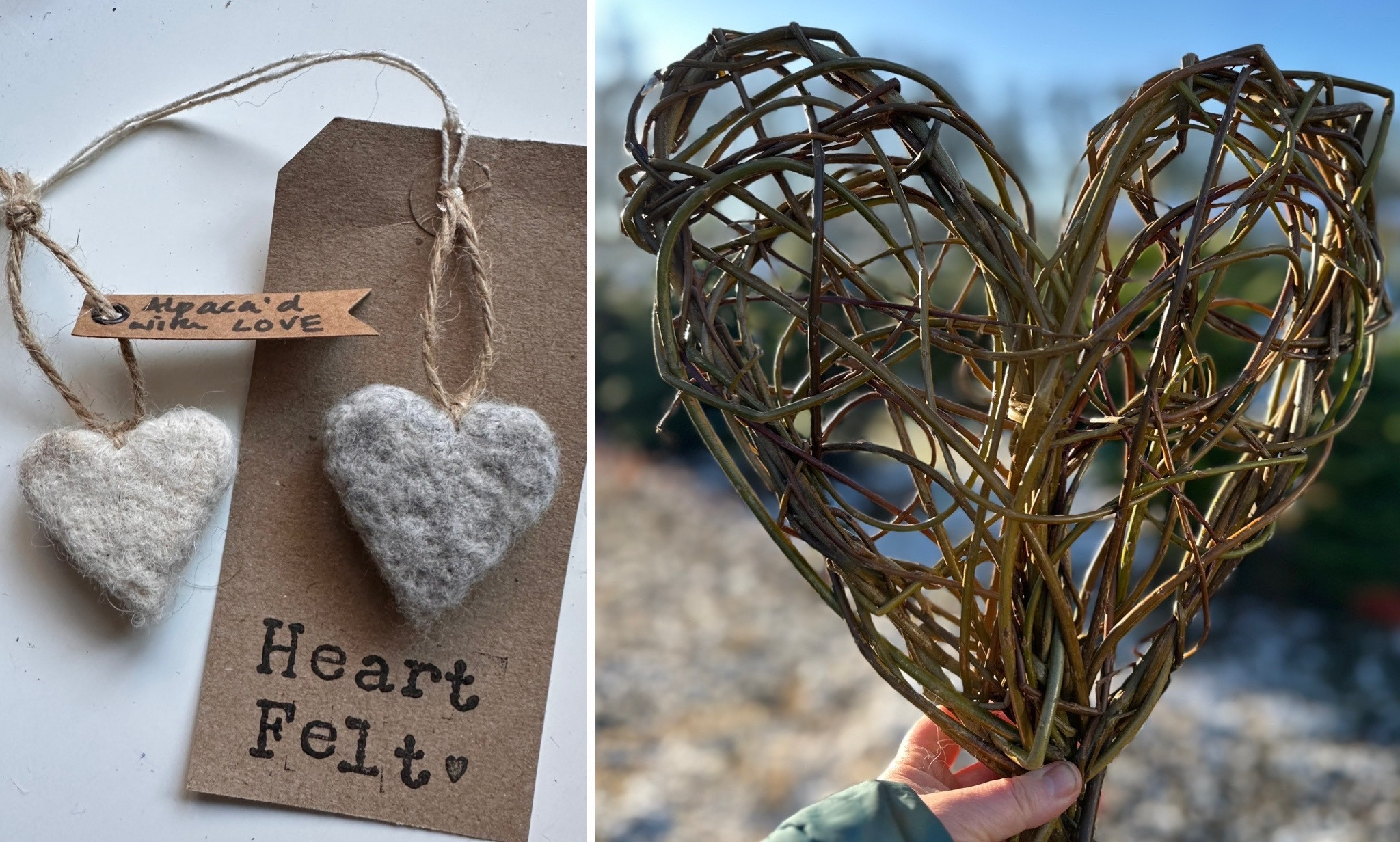Valentine's Events | Oak Tree Alpacas