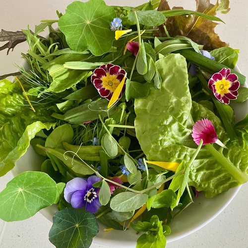 Herby Flowery Salad | Oak Tree Alpacas