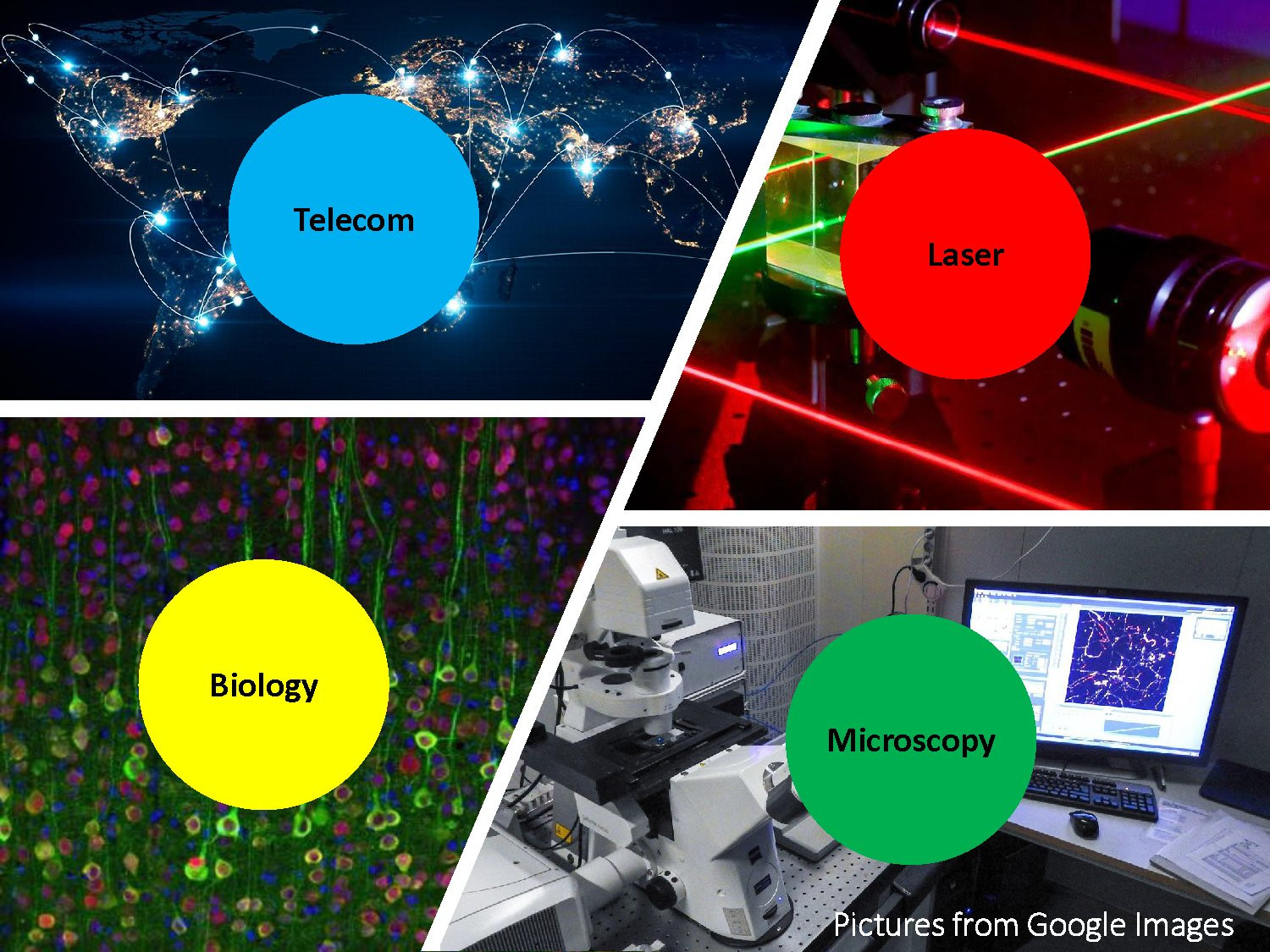Research, Microscopy, Laser, Neuroscience | Li Lab