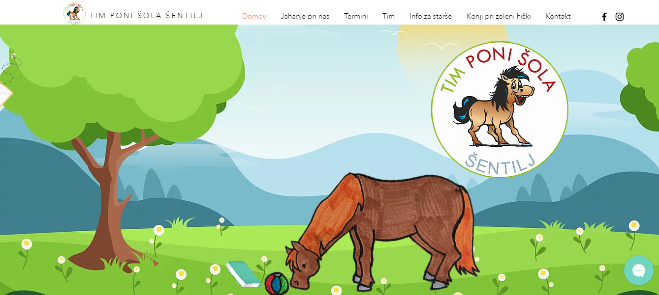 TEAM PONY CONCEPT | prizelenihiski