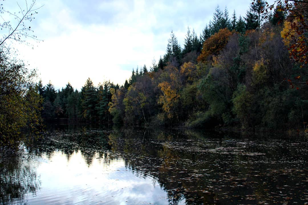 Explore | Littledean House Hotel | Littledean