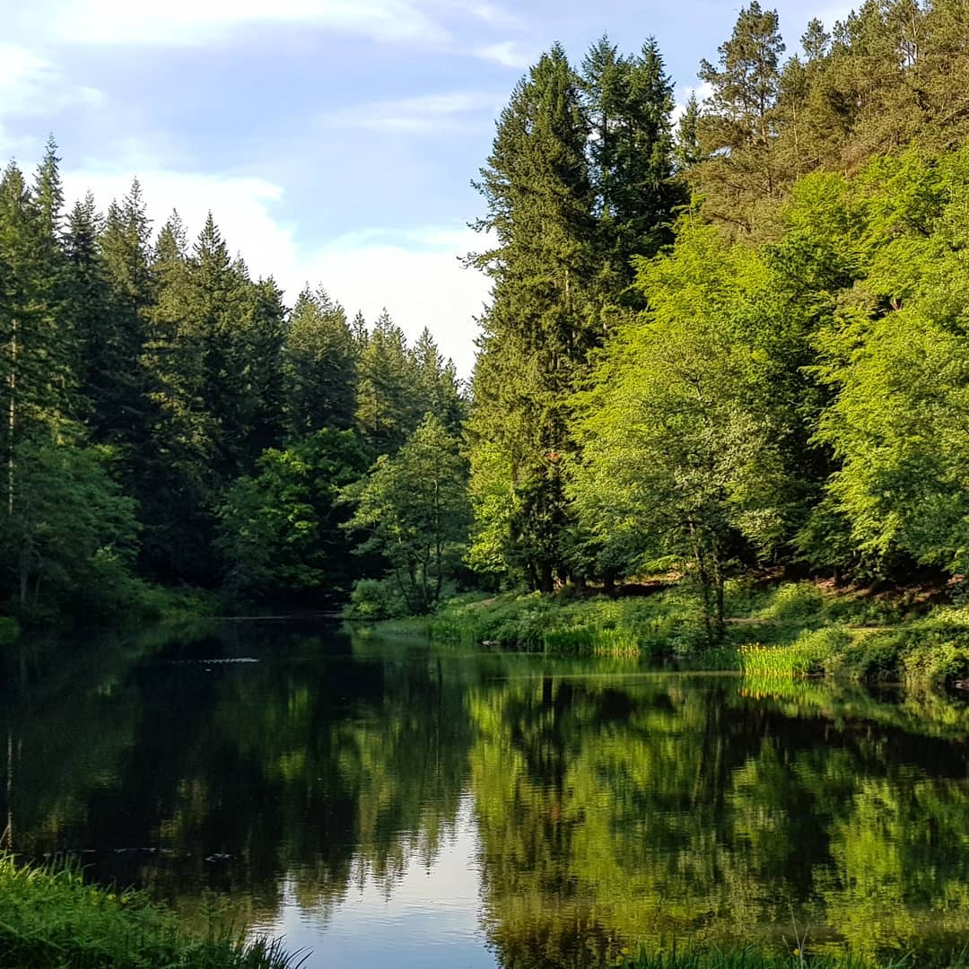 Explore | Littledean House Hotel | Littledean