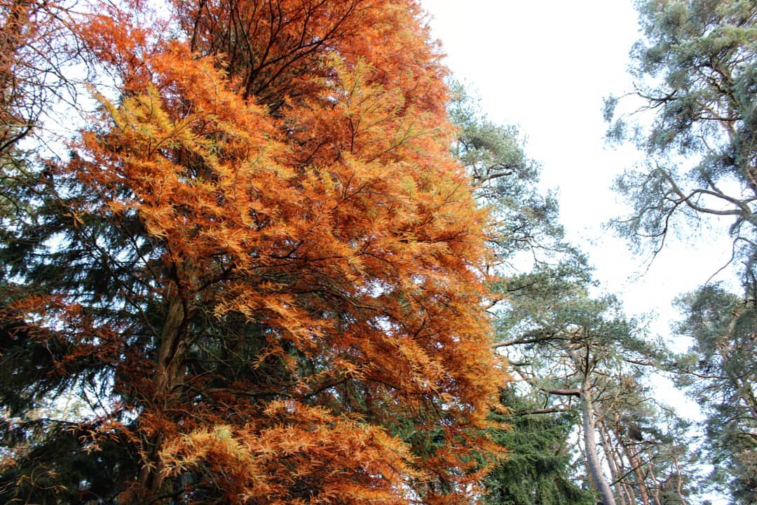 Explore | Littledean House Hotel | Littledean