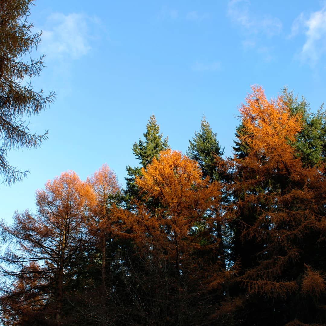 Explore | Littledean House Hotel | Littledean