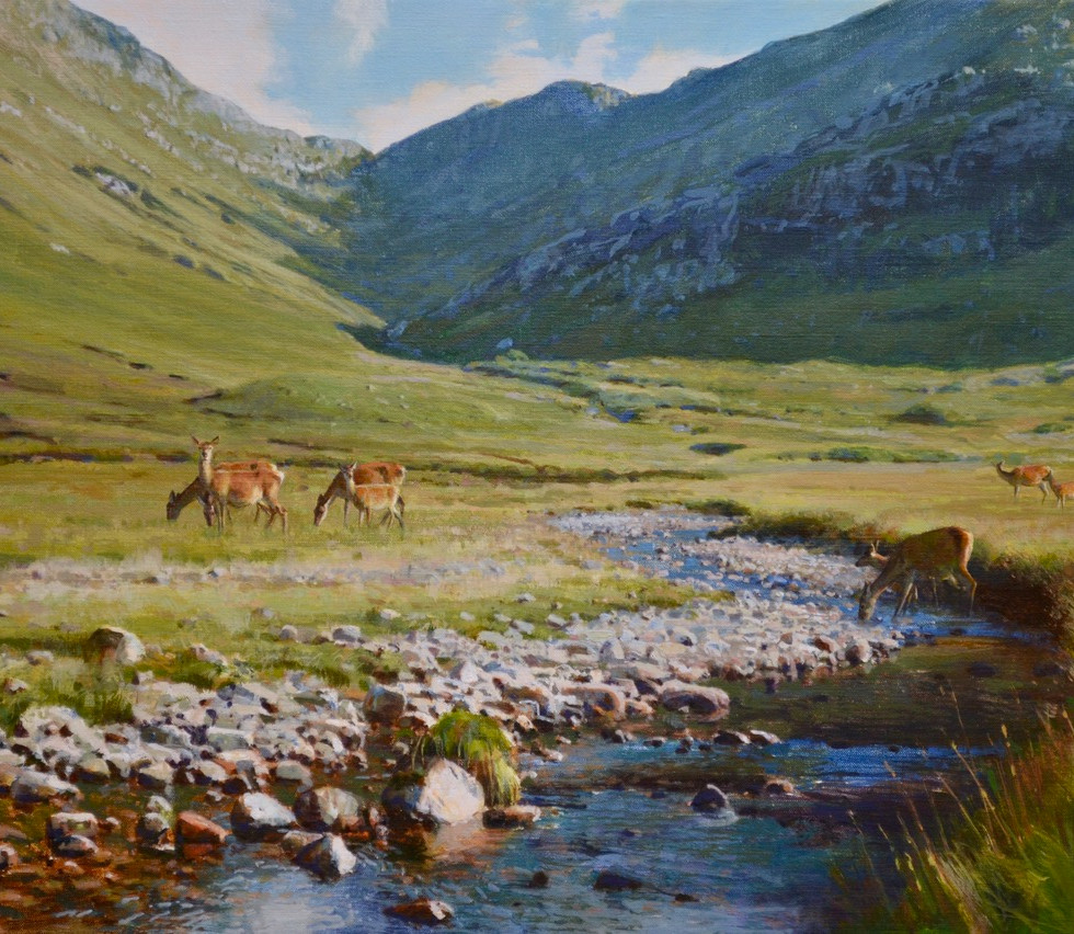 Fine Artist | Ian MacGillivray