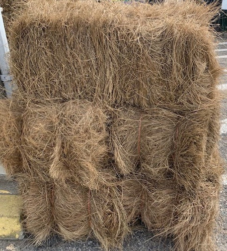 Cut Salt Hay | Cohansey Meadows