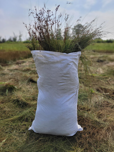Salt Hay Mulch | Cohansey Meadows