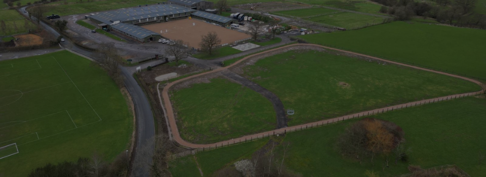 Our Events | Northcote Stud