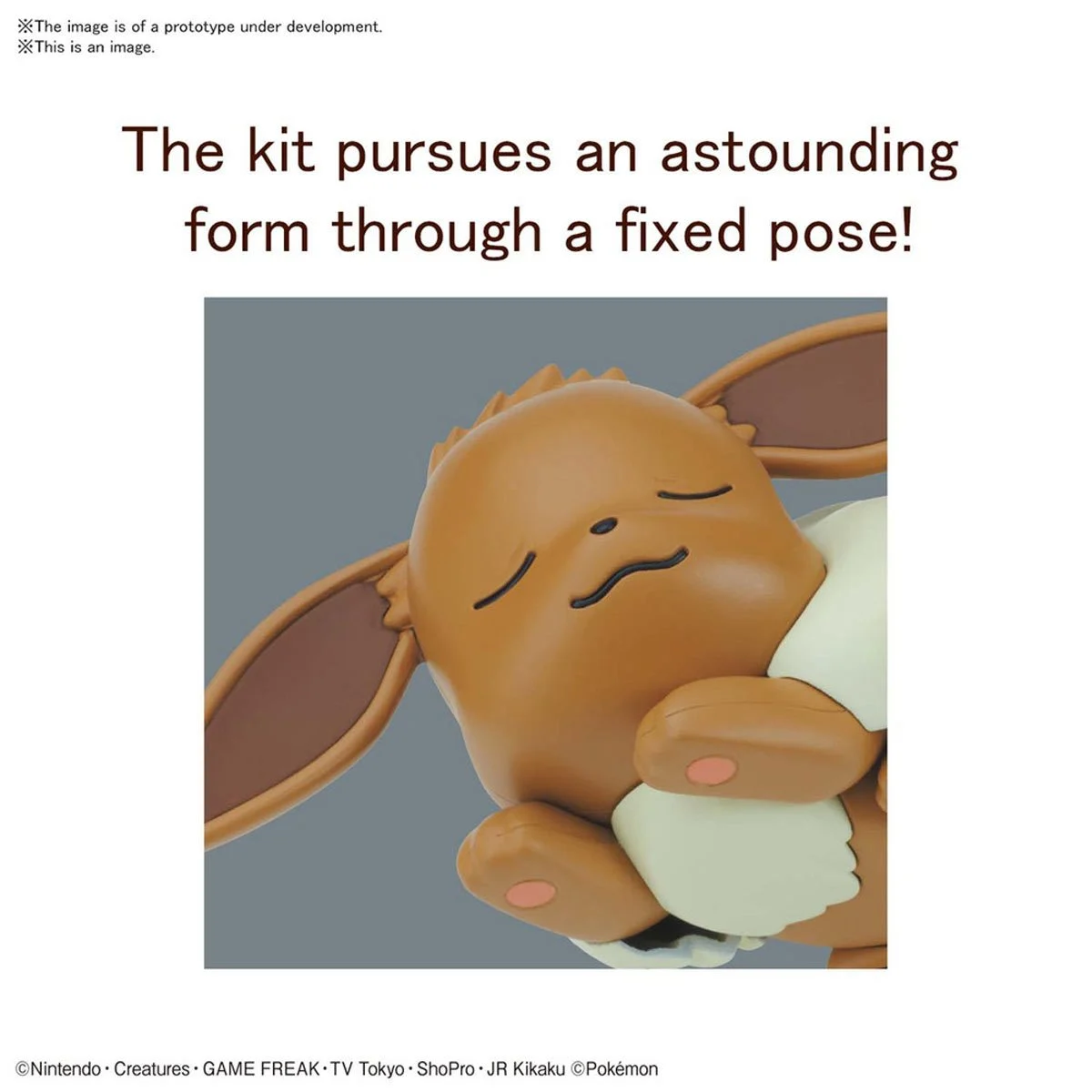 Pokemon Eevee Sleeping Pose Quick Model Kit | ENTER D. MAGIC