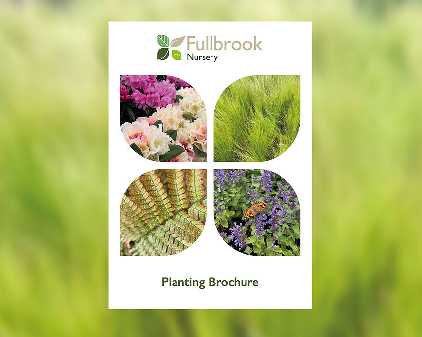 Fullbrook Nursery | Planting Brochure