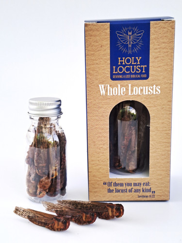 Locusts (Israel) | Biblical Museum