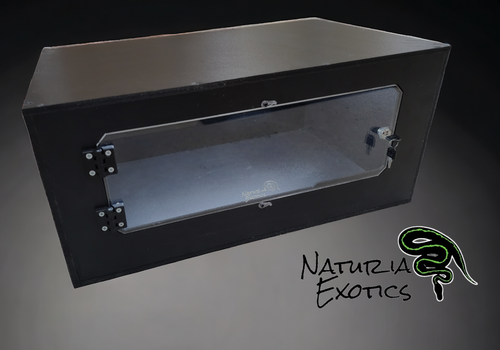 Ultimate Ball Python Starter Kit | Naturia Exotics LLC