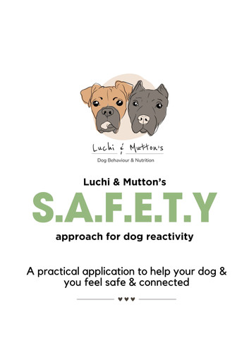 Luchi & Mutton's S.A.F.E.T.Y Approach | Luchi & Mutton's