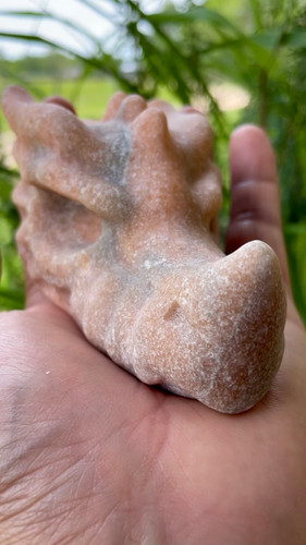 Sunstone Dragon Head | Tea and Tarot Events