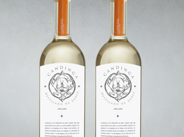 INICIO | monkeyandbanana