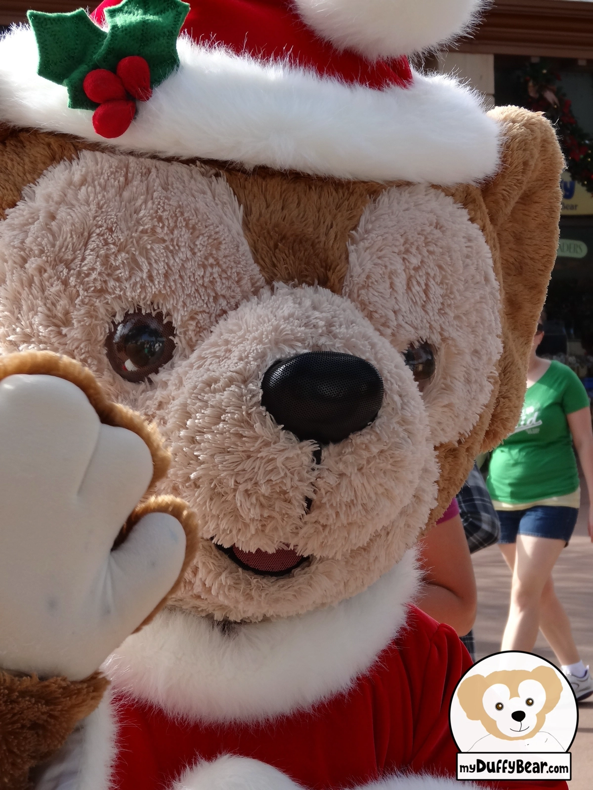 Duffy the Disney Bear | HOME Page | MyDuffyBear.com