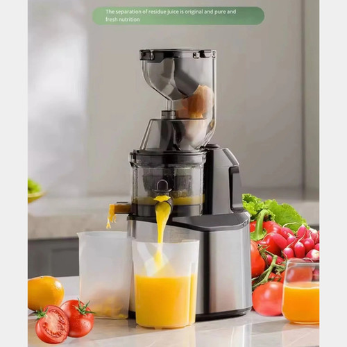 Cold Press Fruit Juicer for Multiple fruits and vegetables | RDR Store