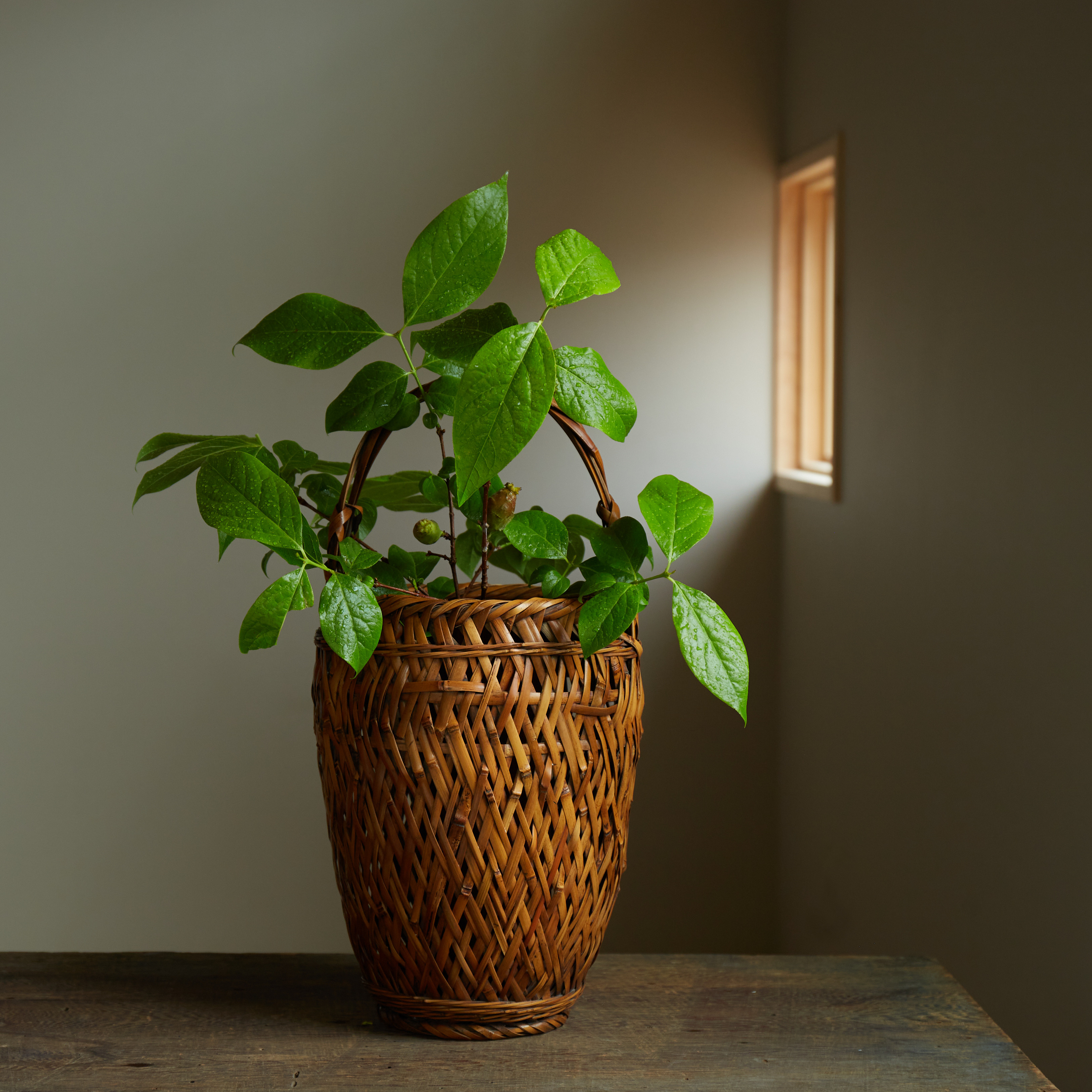 Smoked Bamboo Flower Basket by Wada Waichisai II