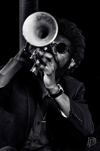 Artist Musician Branding | Musician Promotional | Distinctive Portraits