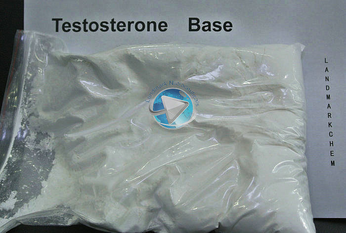 Testosterone Base | muscleroids