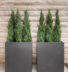 Portfolio (All) | Maclaw