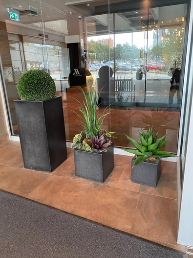 Portfolio (All) | Maclaw