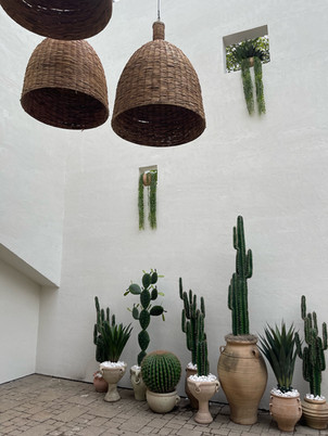 Portfolio (All) | Maclaw