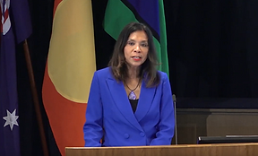 Resources | Terri Janke and Company