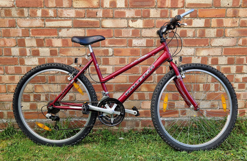 SOLD!!! | Raleigh Max | Cyclerecycle