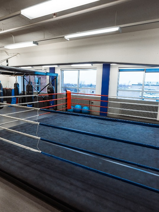 Boxe technique | Gym sablon